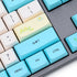 XDA V2 profile Dye Sub Keycap Set thick PBT Spring Birds for keyboard ...