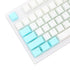 Taihao Cubic Profile Nana De Coco Translucent Backlit Doubleshot keyca ...